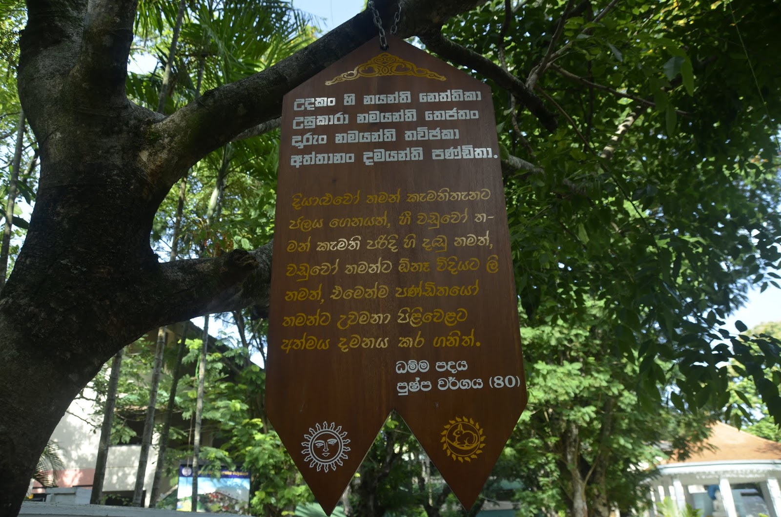 Parisara Prabha: Activities Within School