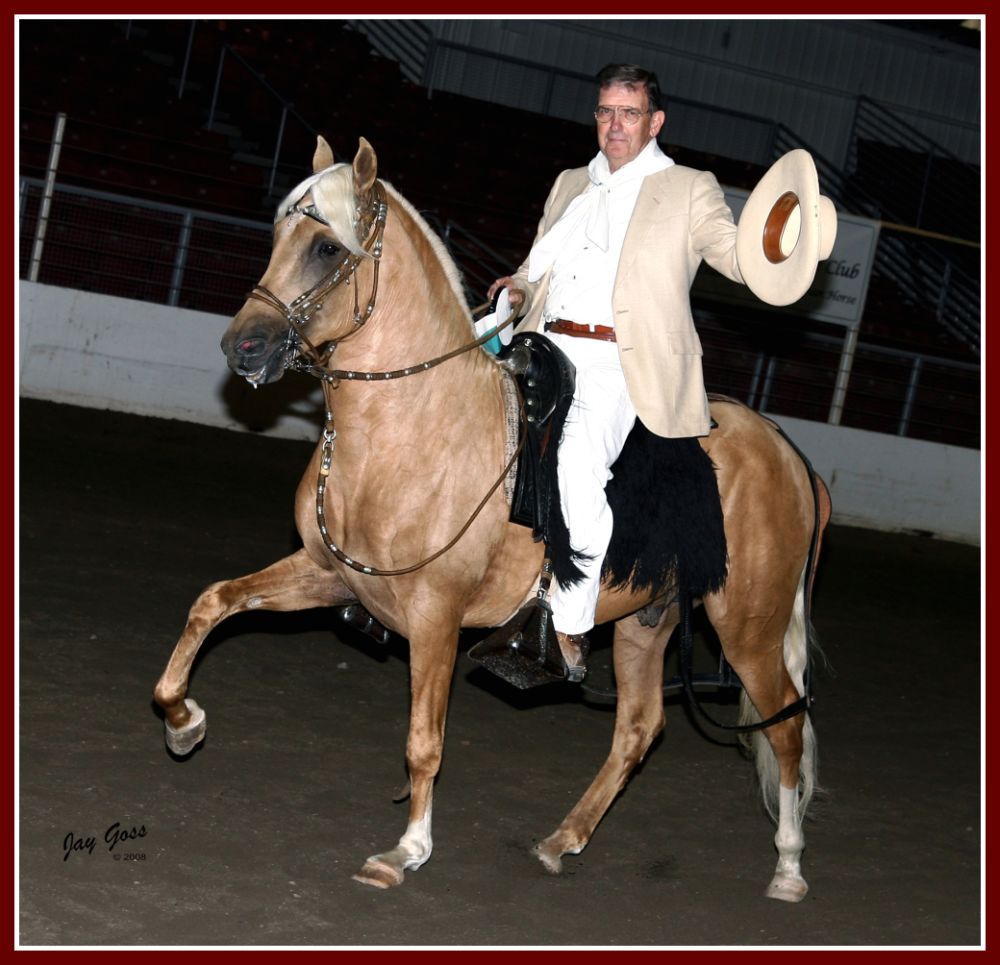 HD Animals Wallpapers: 09/16/11