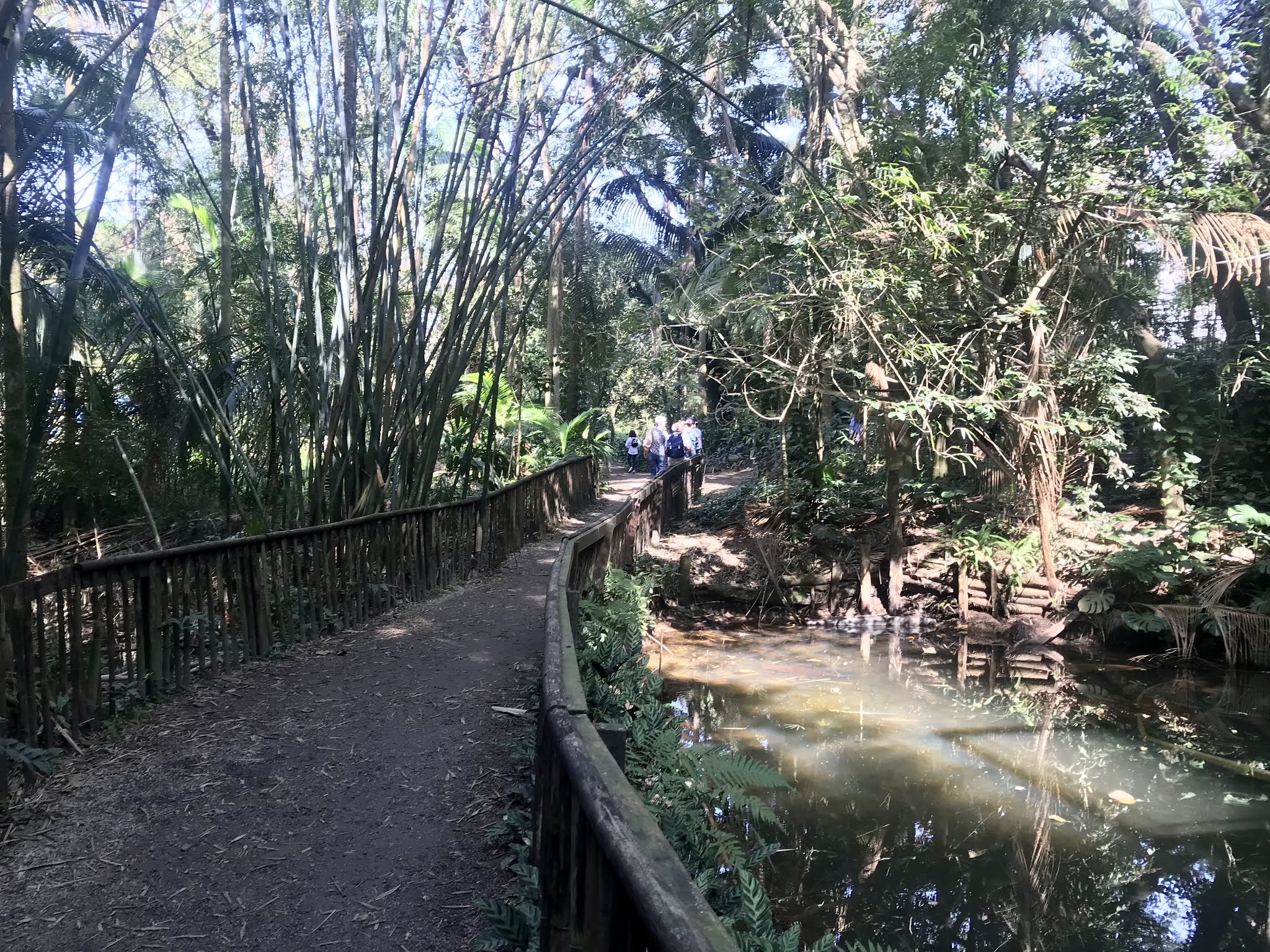 Parque Burle Marx em São Paulo (Revisado e atualizado) ~ Áreas Verdes ...