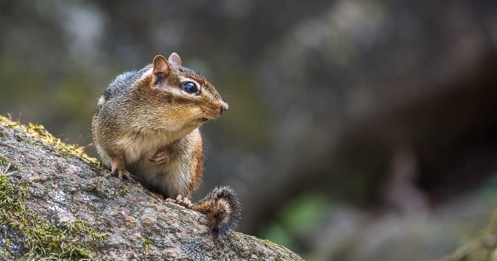 Spotted! - Seeing Through God's Eyes