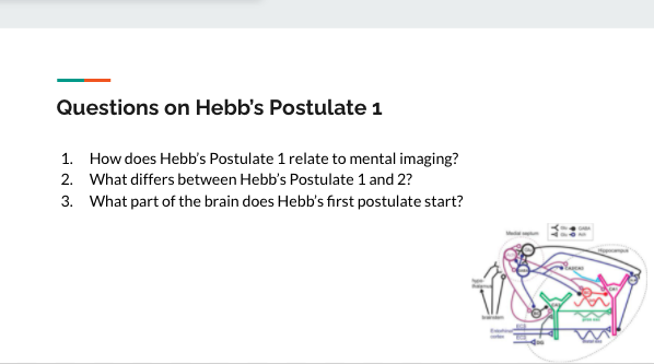 The Hebbian Learning Theory -"Hebb's Principle"