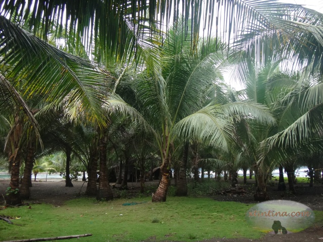 Lesser Known Beach of Dingalan, Aurora - Matawe Beach and Rock ...