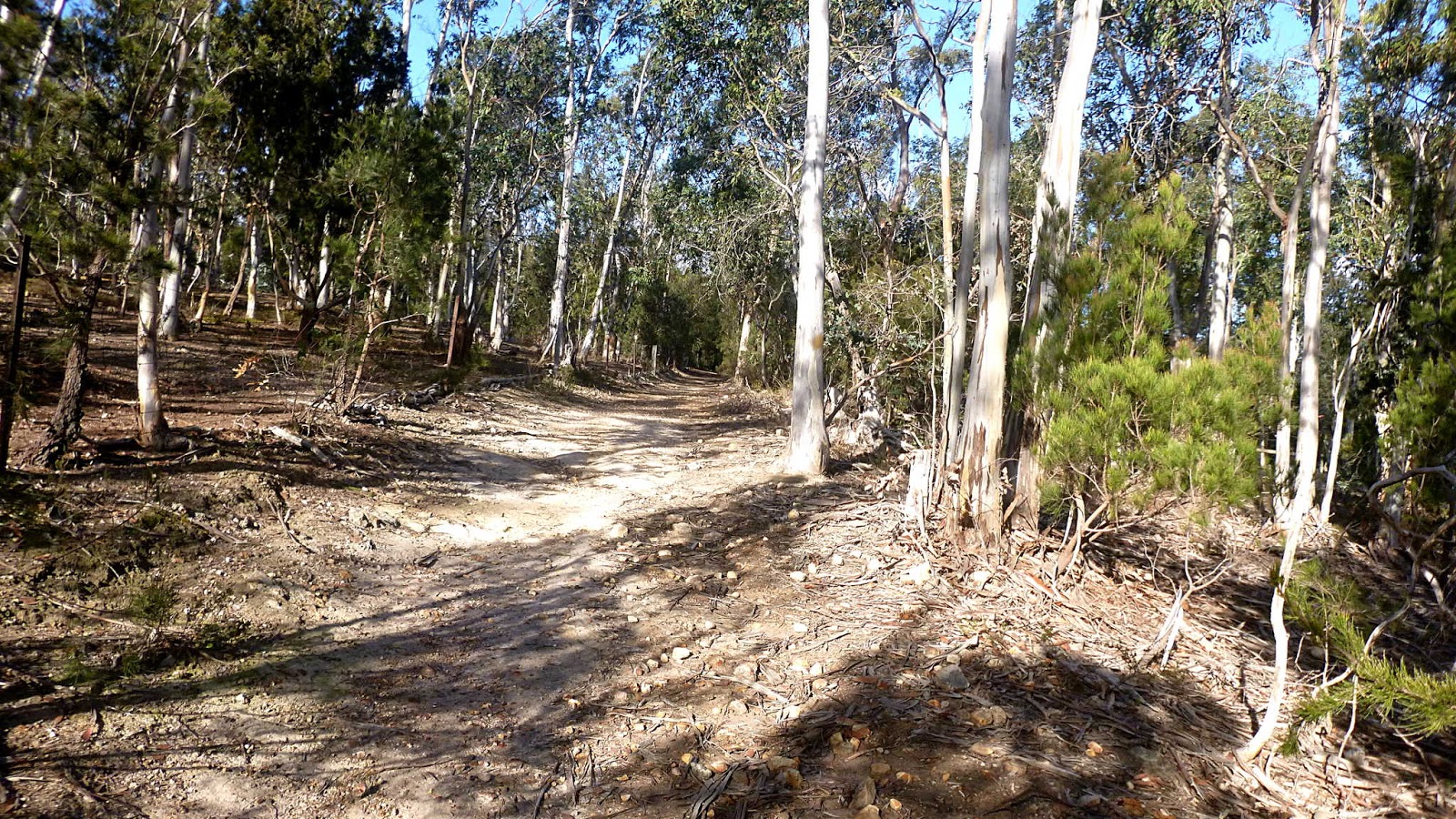 Ramblings: Rifle Range Road 2019