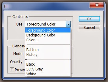 how to fill the color ~ Photo & Photoshop
