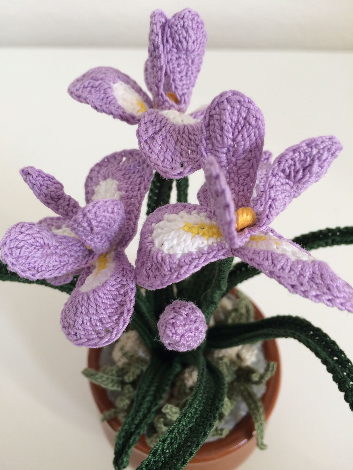 How to crochet a wild iris