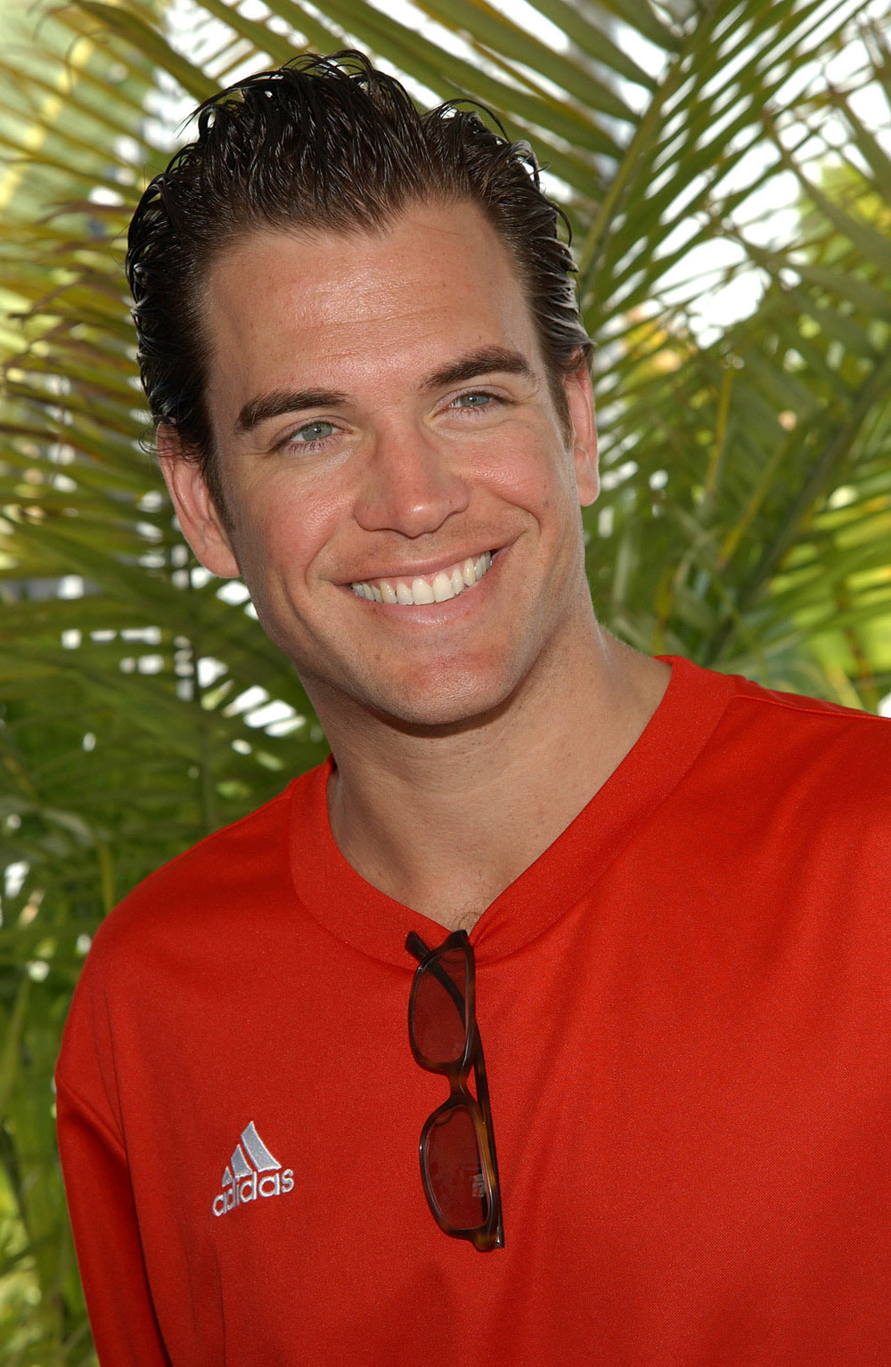 Hall Stars Wall: Michael Weatherly