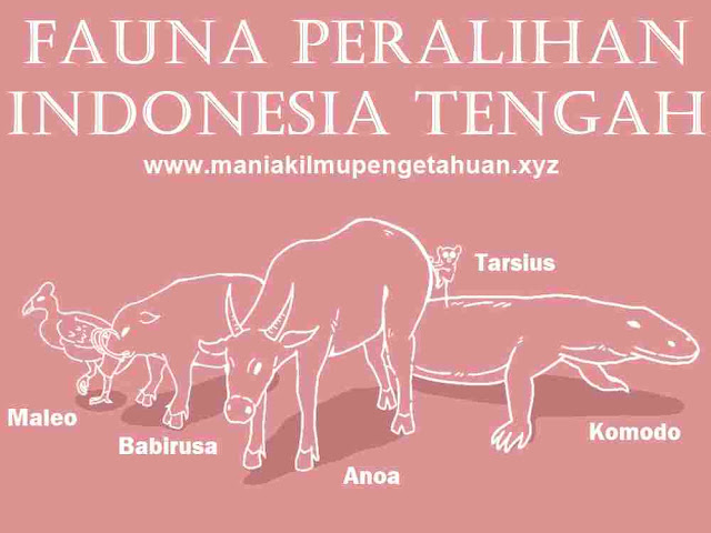 Penjelasan Lengkap Fauna Peralihan di Indonesia - MANIAK ILMU