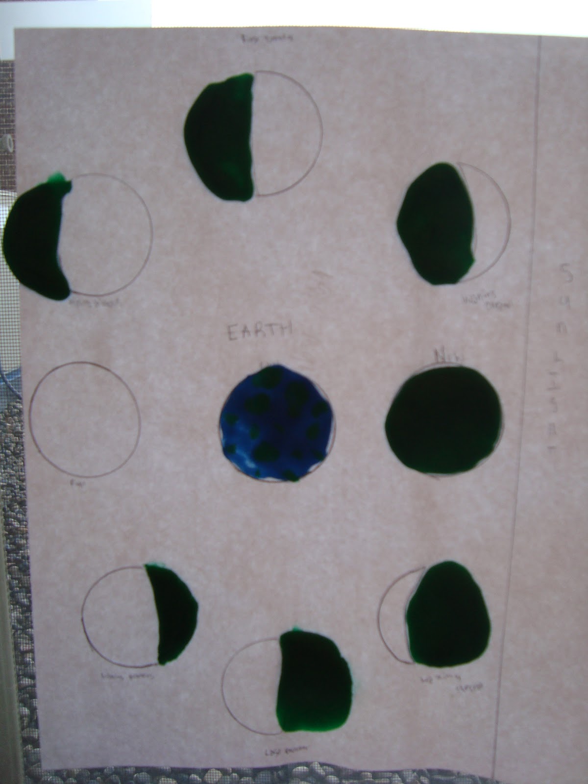 Mrs. Perez's Class: Creative Moon Phases Project
