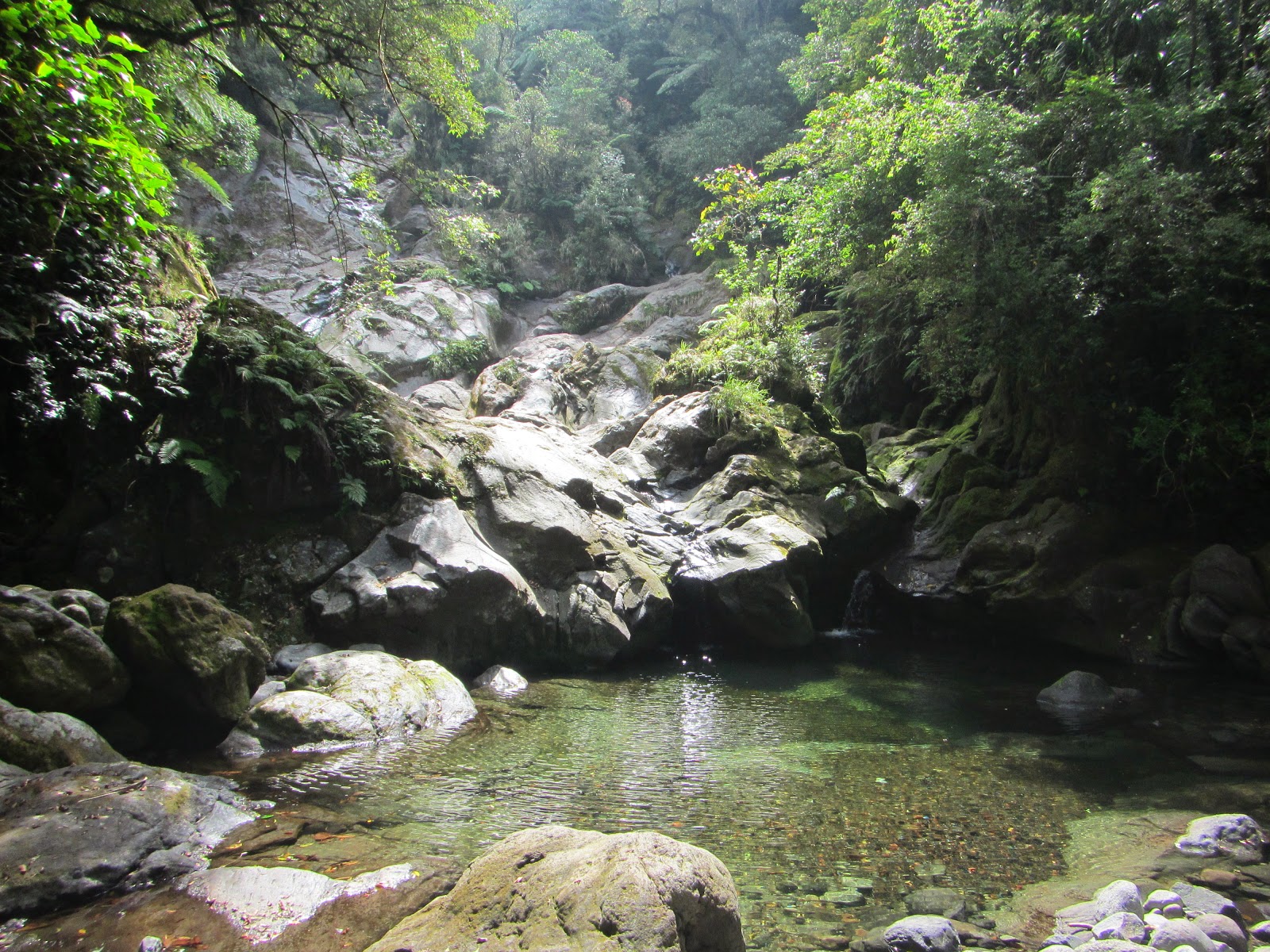 LEXICAL CROWN: MOUNT KANLAON CLIMB (GUINTUBDAN-GUINTUBDAN TRAIL)
