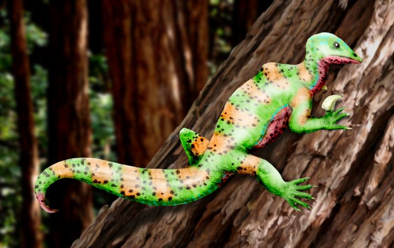 Los animales en la prehistoria: Animales prehistóricos con la letra D