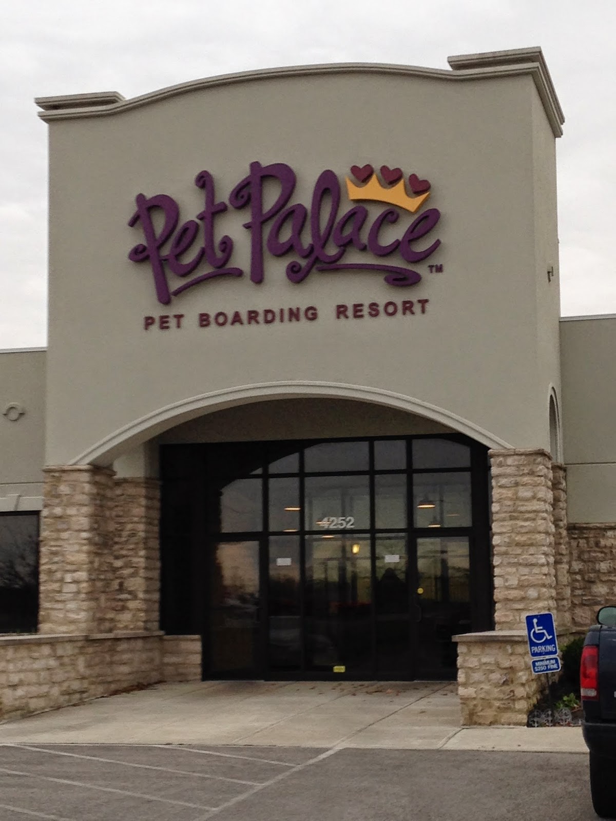 A Crafty Chick: Daisy Journey: 5 Flowers, 4 Stories, 3 Cheers for Animals