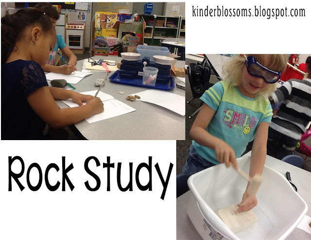 Christina's Kinder Blossoms: Science Activities and More