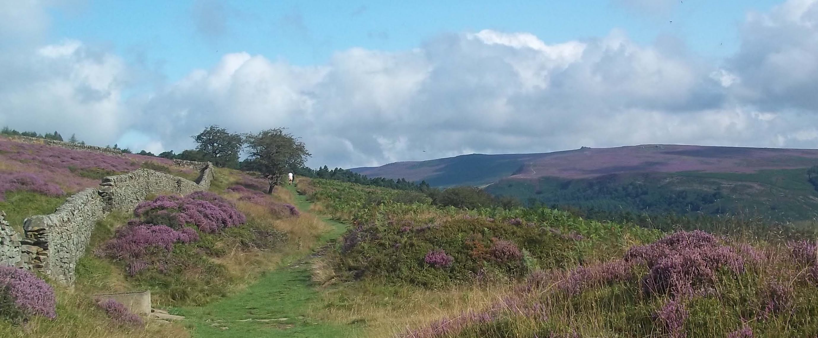 Walking The Peak: Ladybower Inn, Ladybower Reservoir, Aston, Hope ...