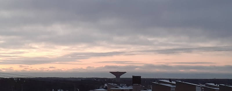 Tikusta asiaa: Ikigai