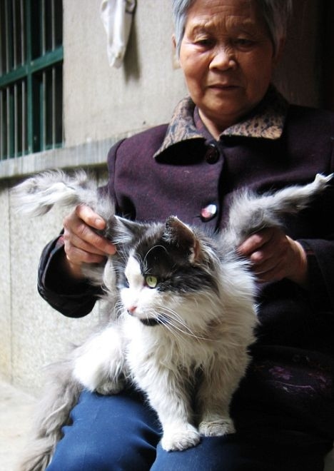 GG Maza Funny Chinese Way Of Living gg-maza-funny-chinese-way-of-living