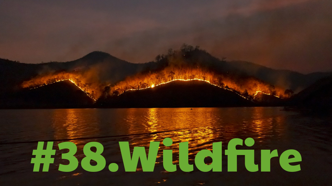 #38. How to prevent wildfire? What is the science behind wildfire?