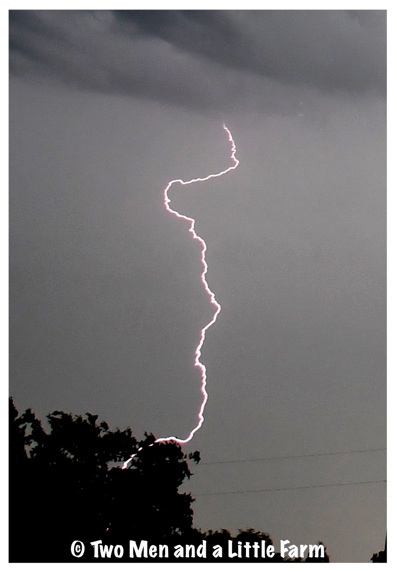 Two Men and a Little Farm: CAPTURED LIGHTNING