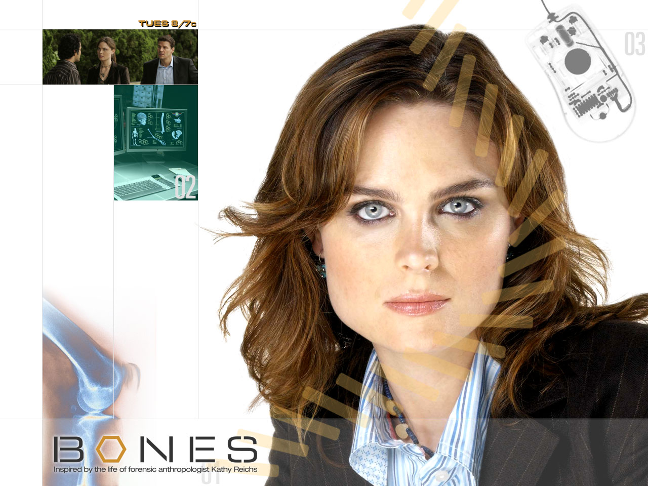 Anna Bones: Fotos Promocionais