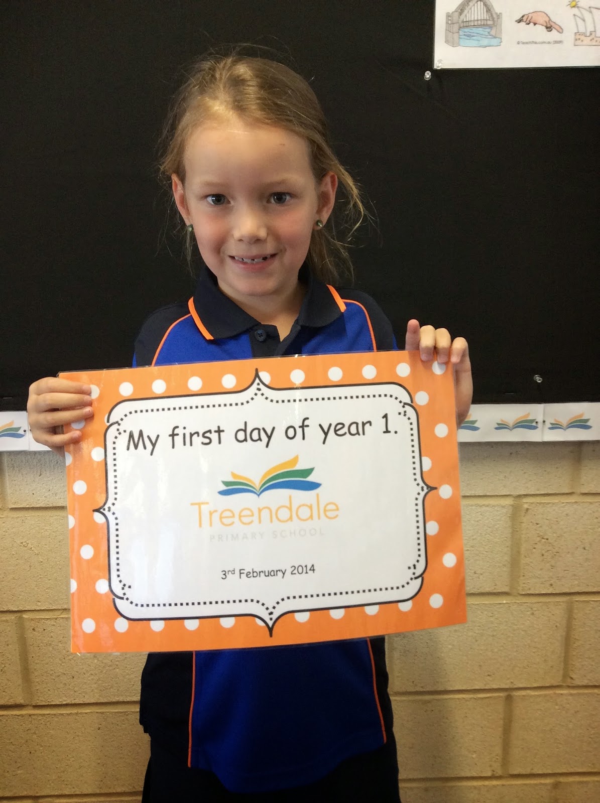 Treendale Primary School Room 8: May 2014