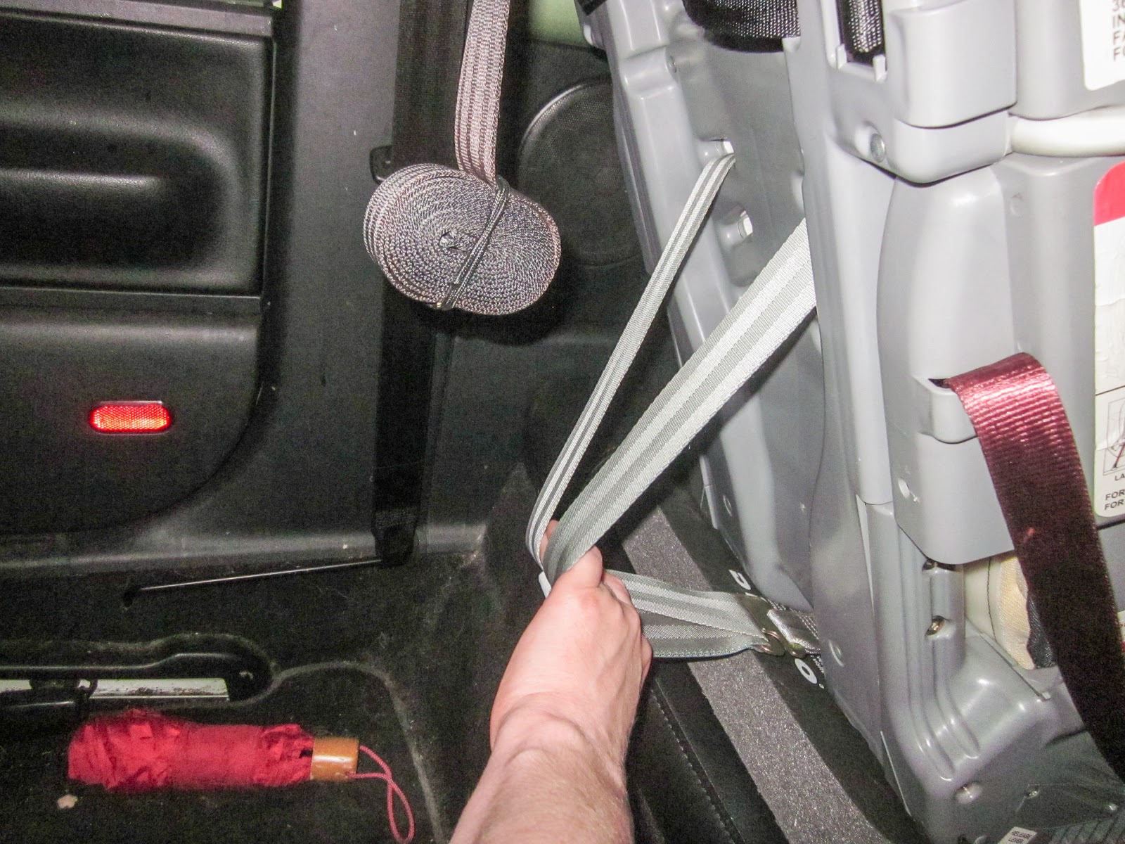 Buckle Up, Buttercup!: The Ins and Outs of Proper Harnessing
