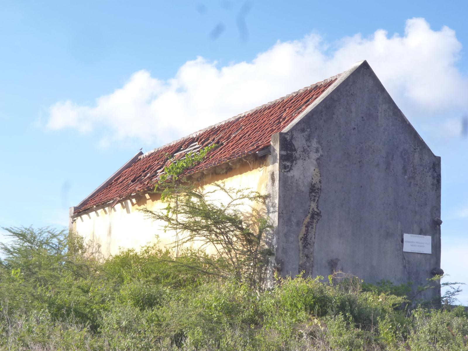 Hiking Curaçao - The Trails: Buriku trail - kust - Patrick (en foto's ...