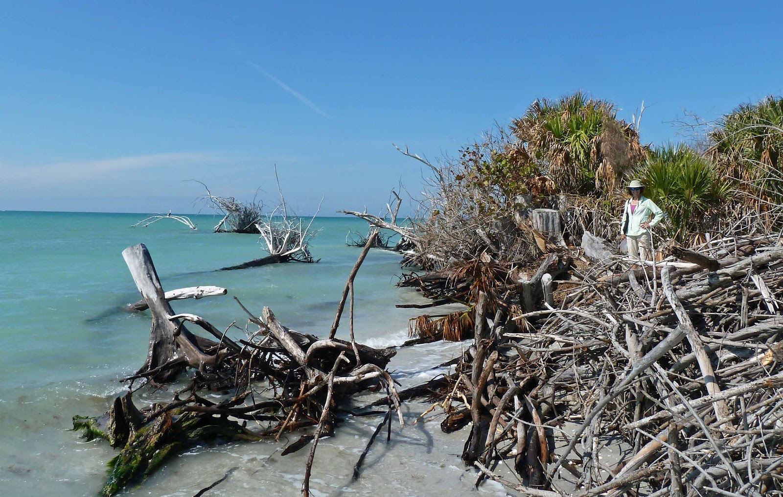 Last Dance: West Florida State Parks