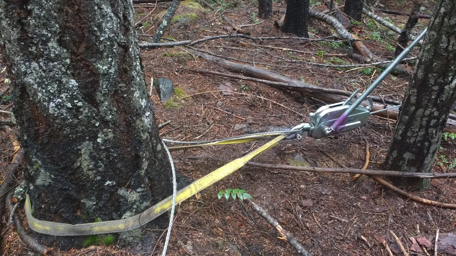 Ranger Vick: rigging training