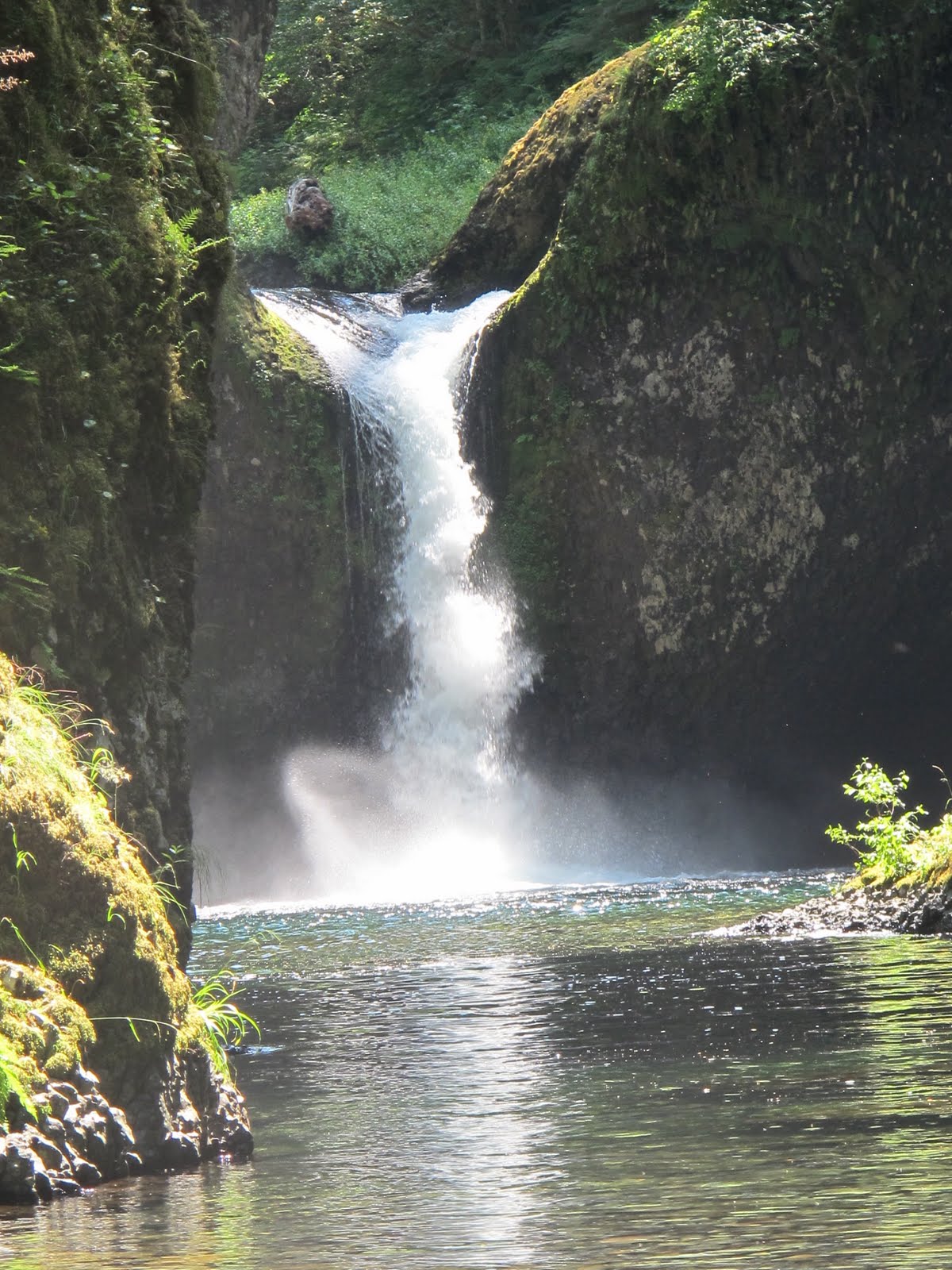 Nelda Mays Photography, Inc.: The Eagle Creek Trail, Oregon