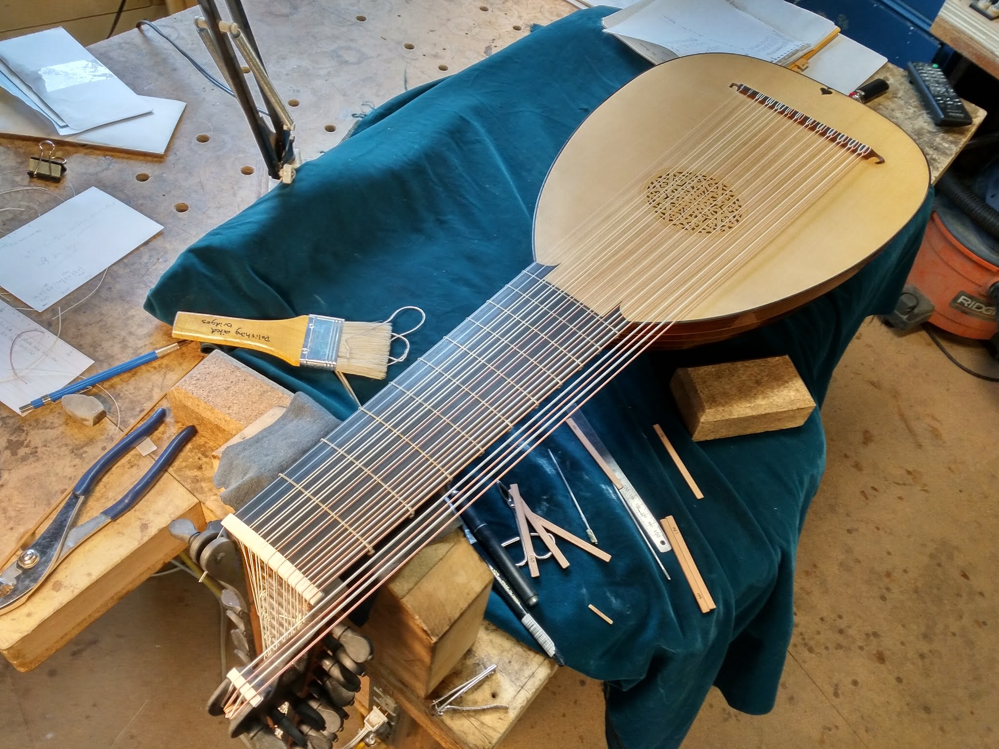 The Lute's Progress,