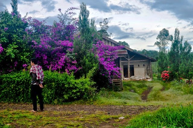 LEMBANNA, DESA DI ATAS AWAN ~ titik koma