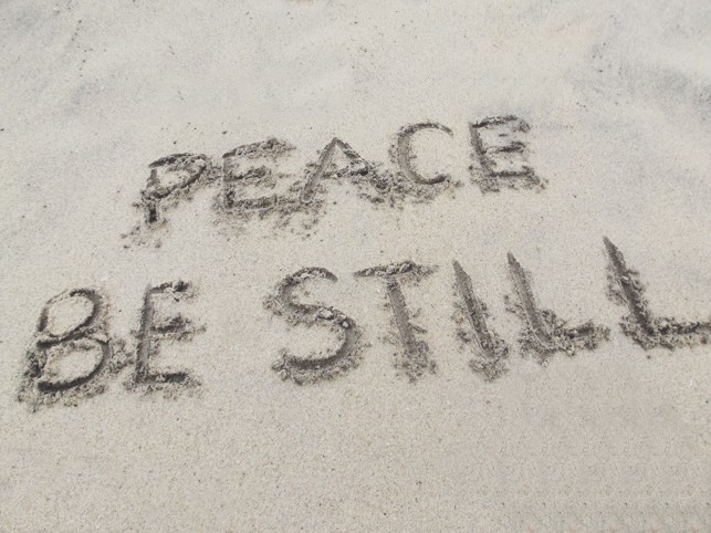 taproot studio: Beach Attitude