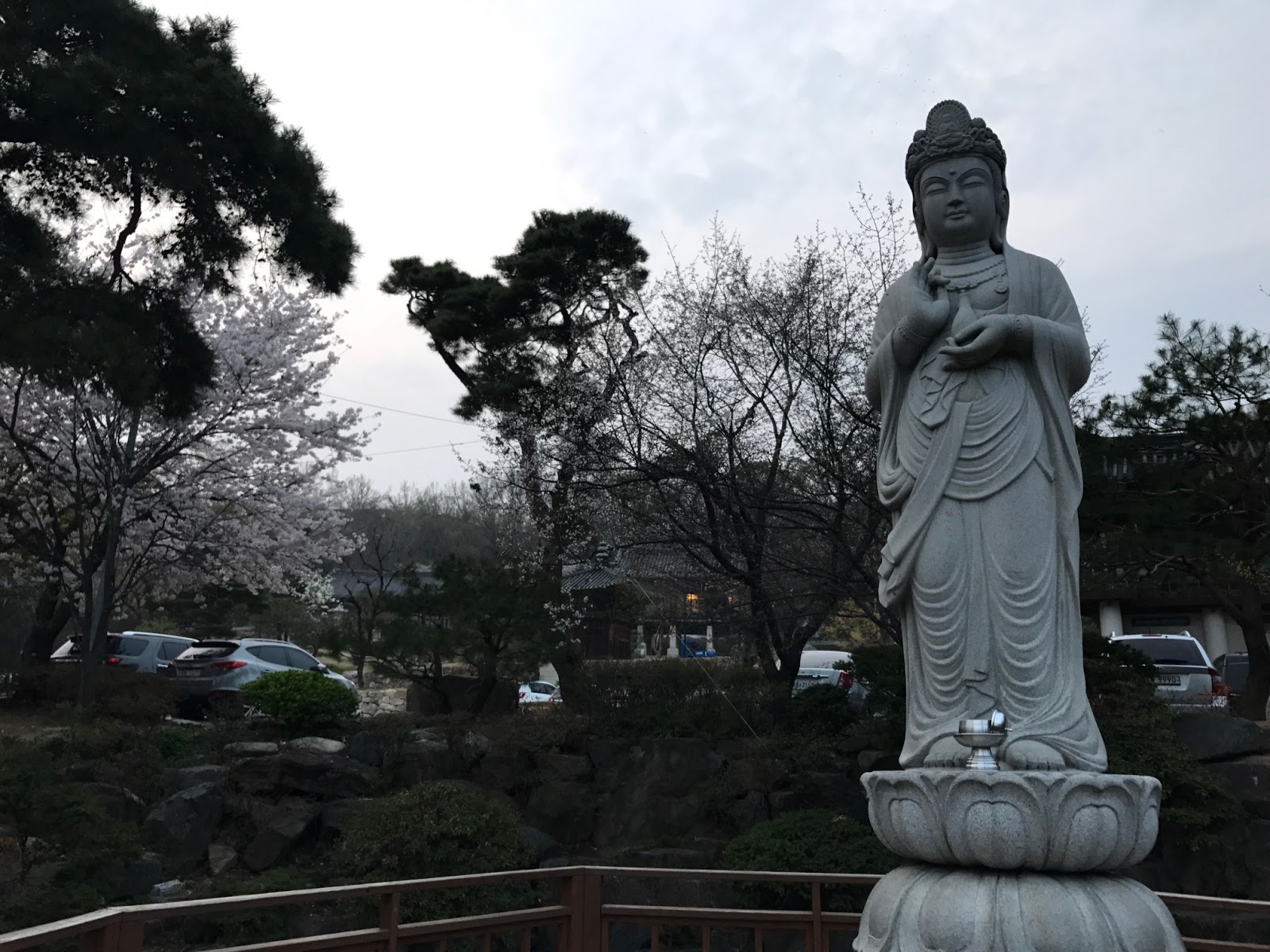 [Seoul - Coex] Cherry Blossom Tour at Bongeunsa Temple