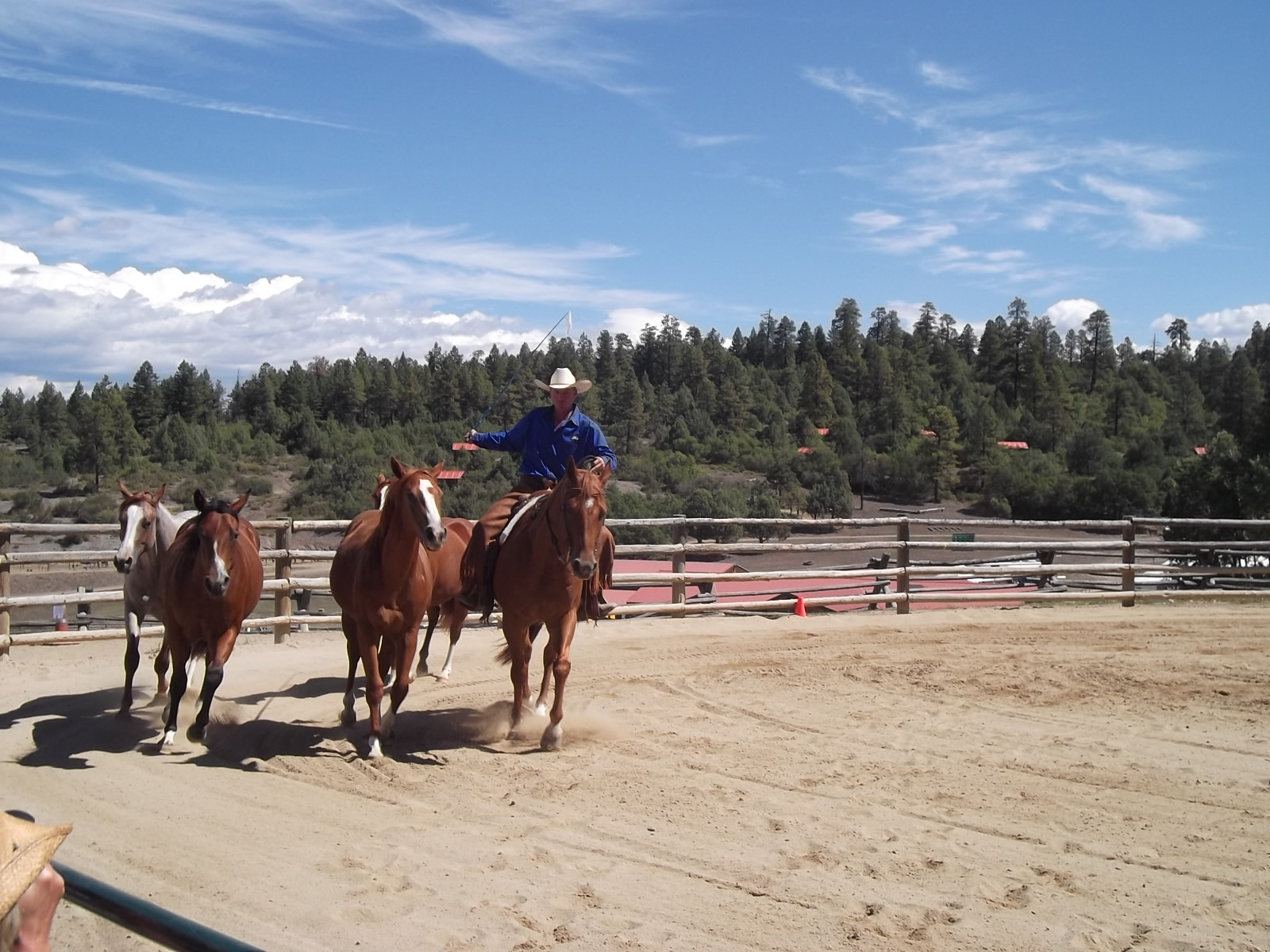 HOOFPRINTS OF KASPIN: Parelli Summit Day 1!