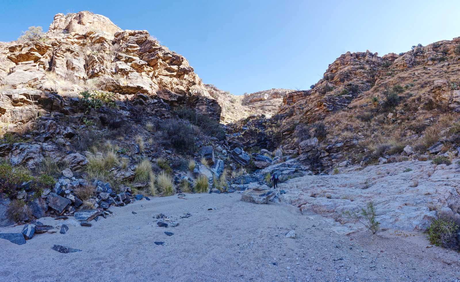 Earthline: The American West: Soldier Canyon, Pusch Ridge Wilderness