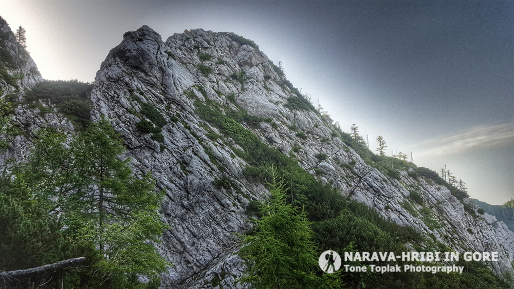 Narava hribi in gore: Grapa za Vrati-Planjava 2392m