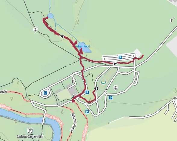 A Walk at Chatelherault Park