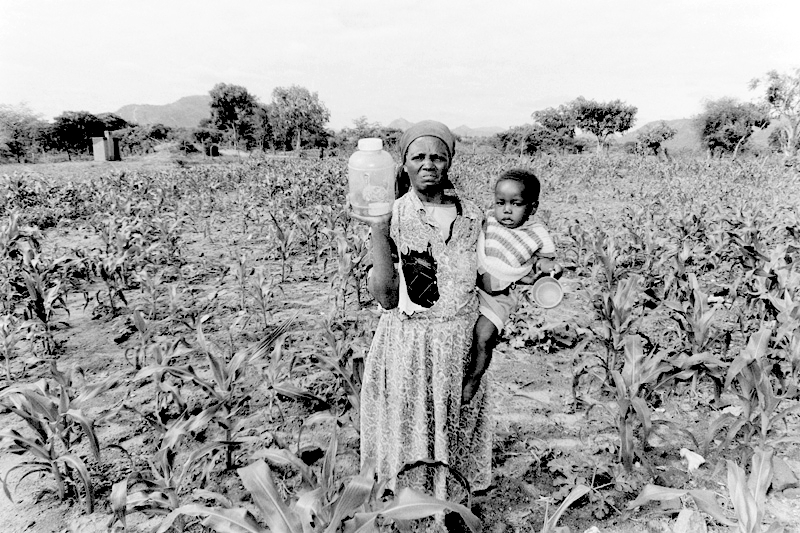 Southwest Of Rusape: The Mucharambeyi Connection