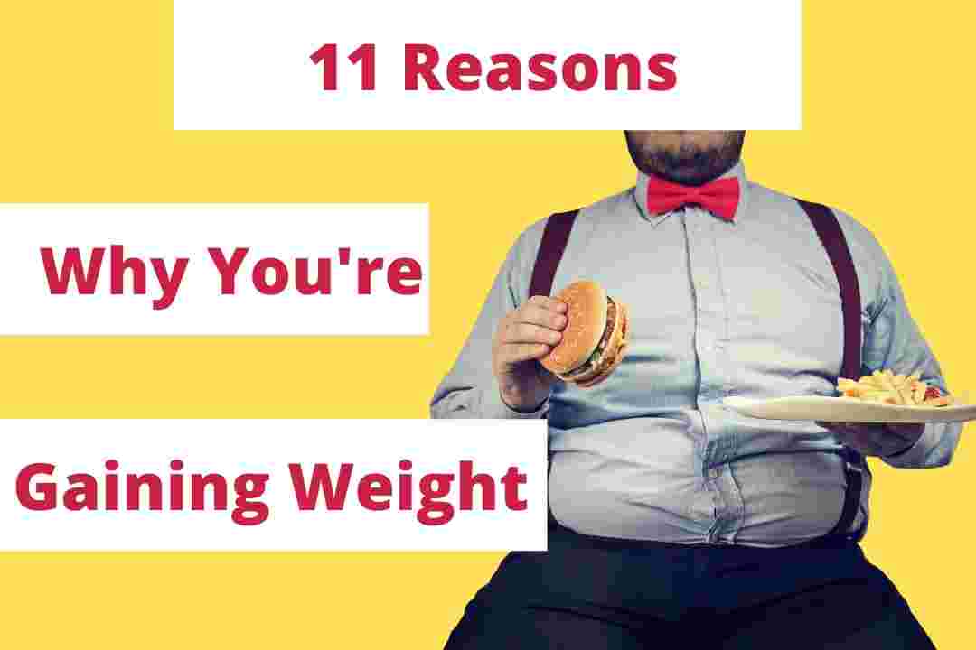 11 Leading Causes Of Weight Gain And Obesity 11-leading-causes-of-weight-gain-and-obesity