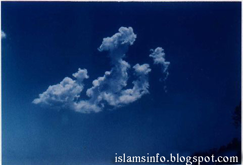 Islams Info: Islamic Miracle Pictures:Allah's Name Visible in the sky
