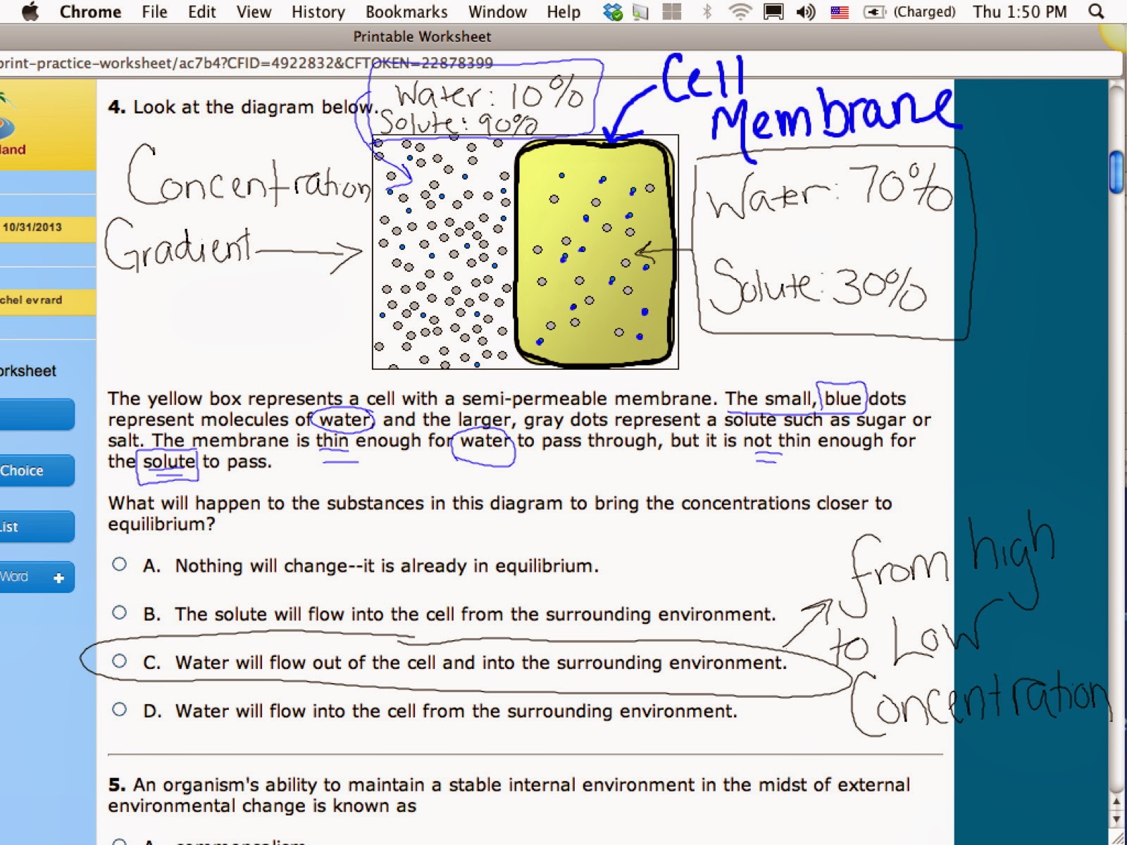 EC Honors Biology Passive Transport Demonstrations ec-honors-biology-passive-transport-demonstrations