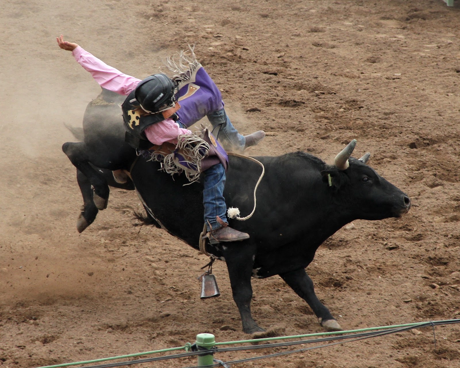 Enjoy the Ride: Rodeo!