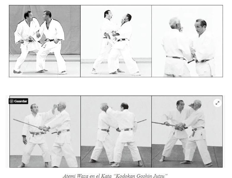 Atemi Waza.