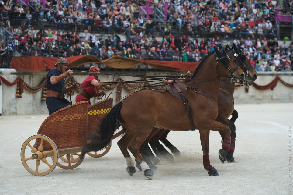 Les Auriges des attelages d'Arles: Course Chars Antiques