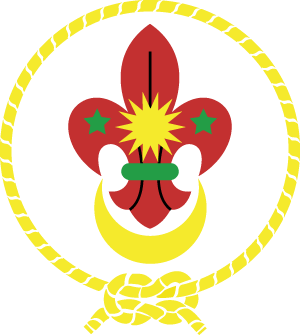 丁教练部落格: World Scout Scarf Day 1st August