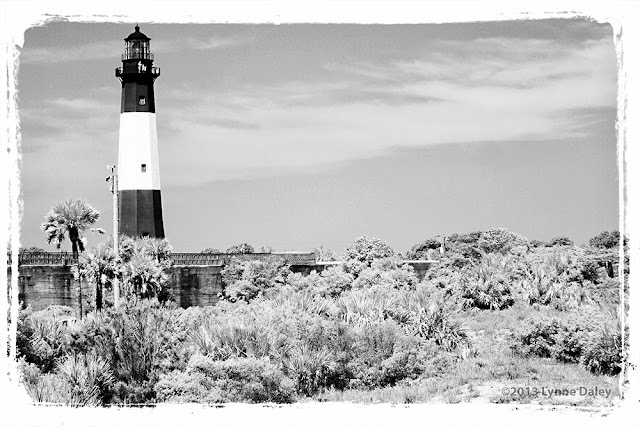 Photo-per-Diem-A Photography Blog: Palm-South Channel-Ft. Pulaski