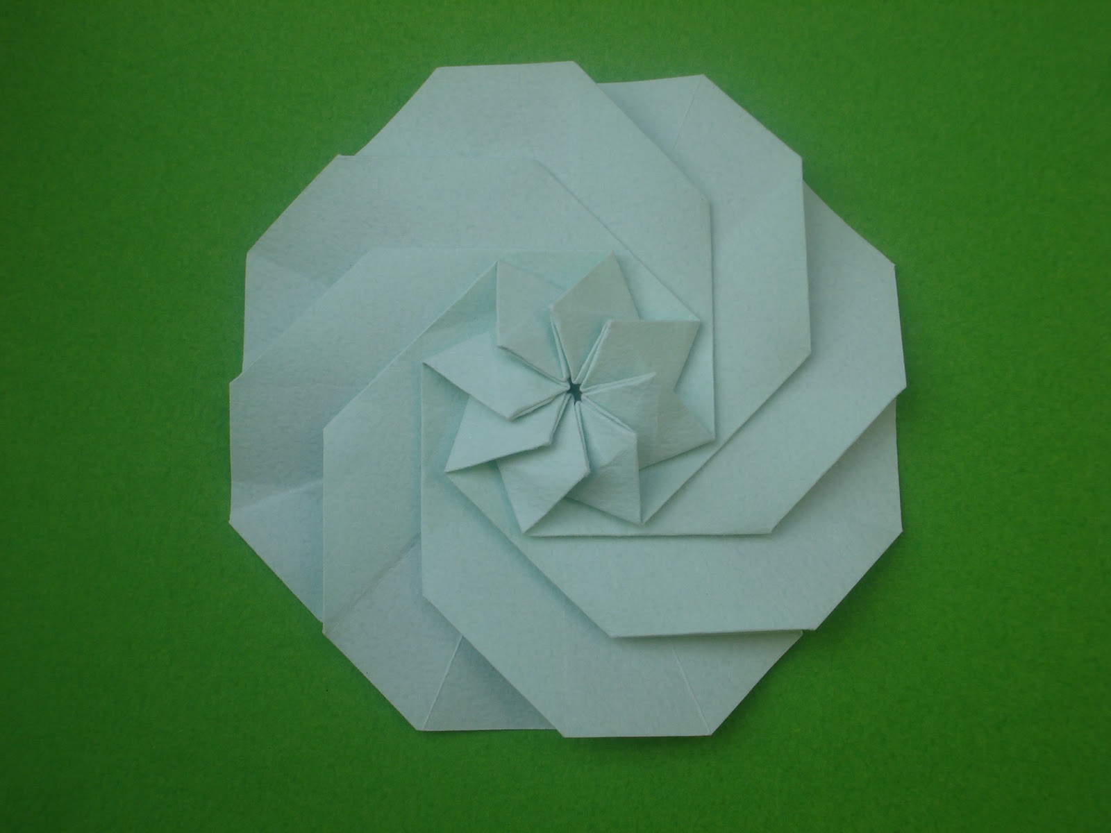 CARLA ONISHI : Rosettes