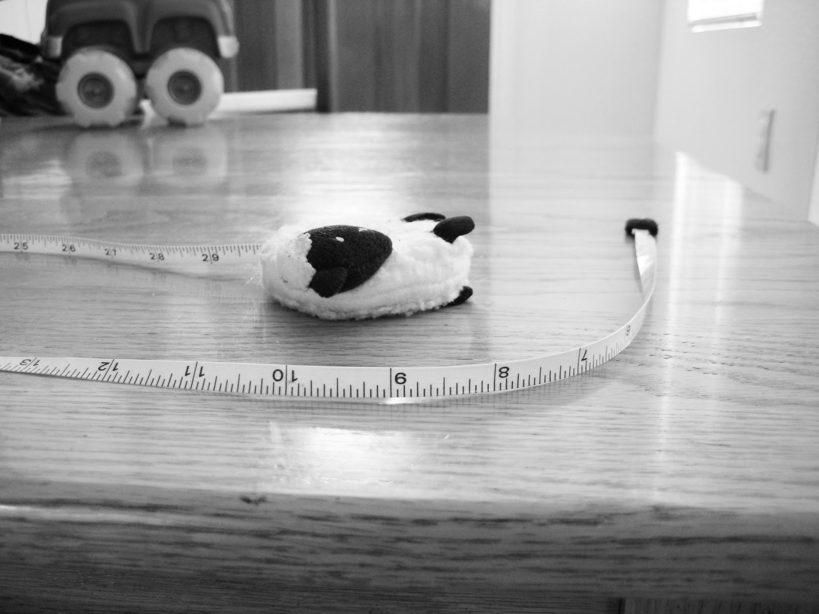 If Toys Could Talk Everything Is 40 Inches if-toys-could-talk-everything-is-40-inches