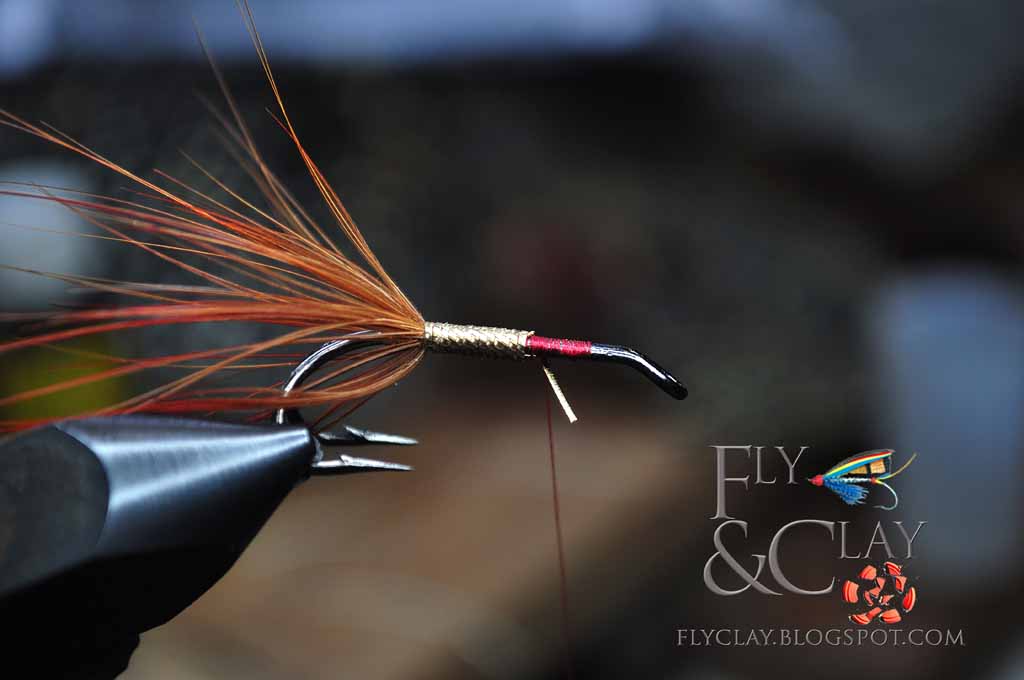 Fly & Clay: The 'Perfect' Irish Shrimp Fly