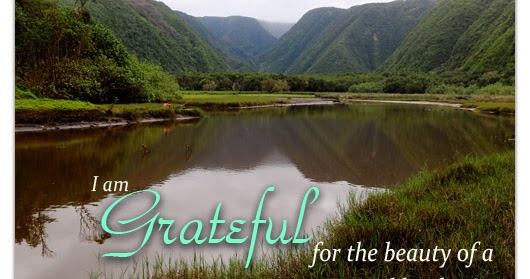 The Gratitude Habit Journal: Grateful for a Pastoral Landscape