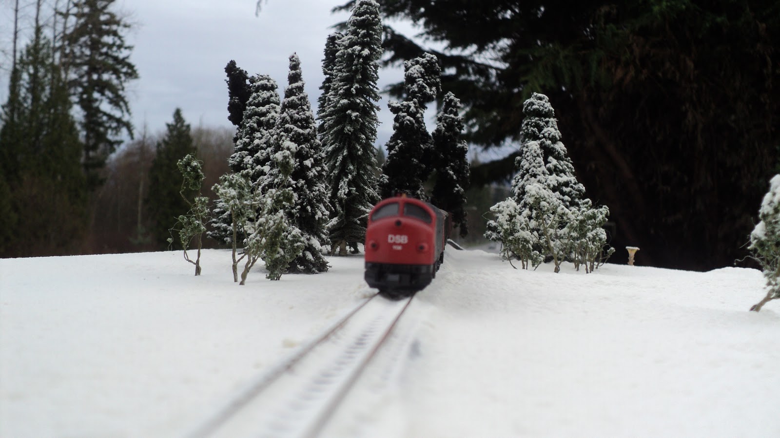 quinntopia - An N Scale blog: Locomotive Roster: Kato K2882; DSB Class ...